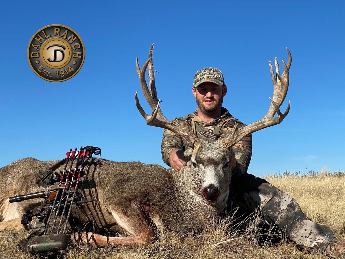 South Dakota Trophy Mule Deer Hunts | Guided Mule Deer Hunts